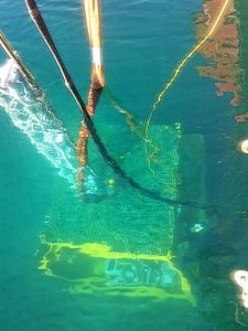 Seabed CPT: Gulf of St Vincent, S.A: 2016 - Probedrill Geotechnical ...